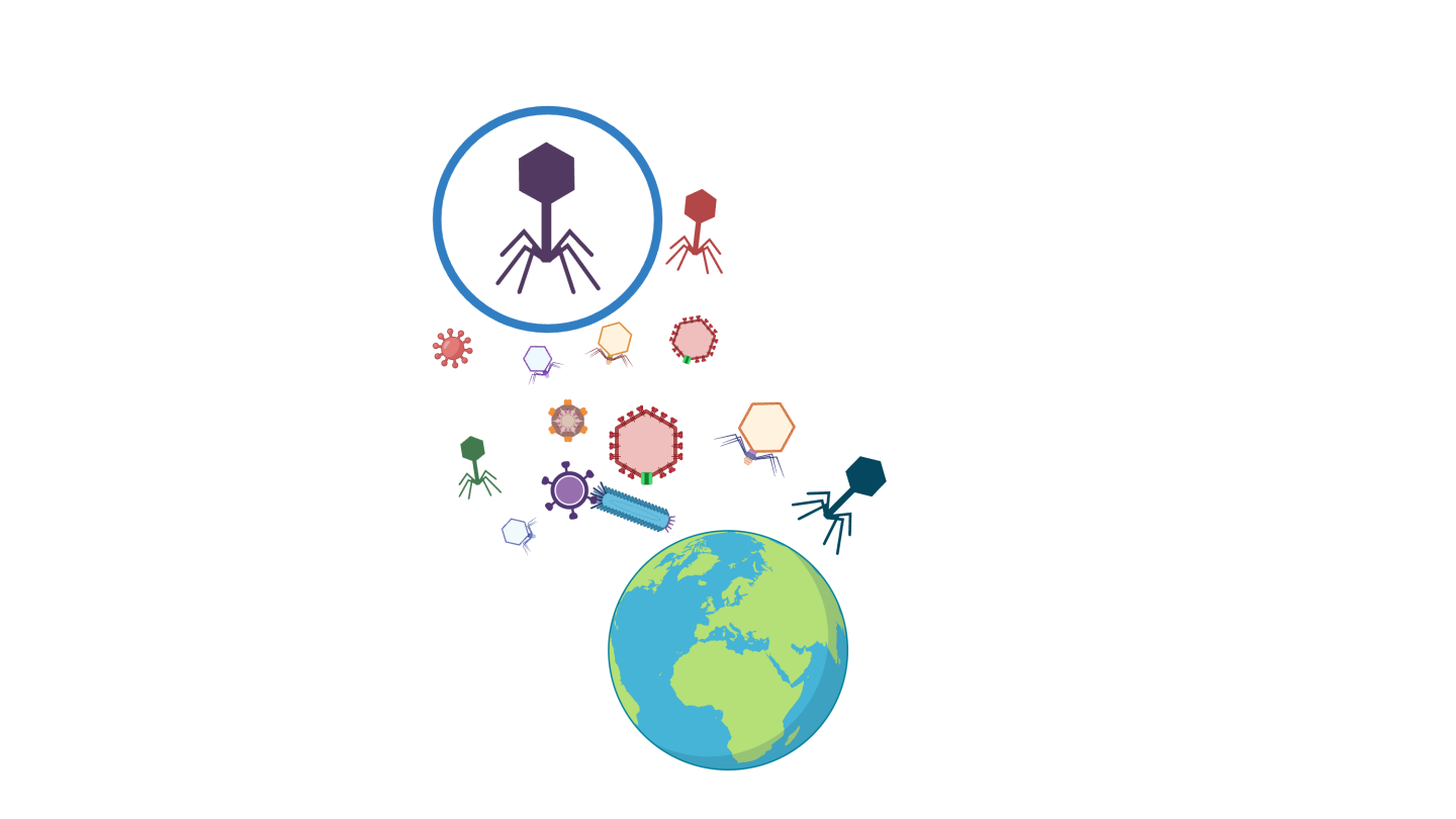 Phage Biology Group | University of Jyväskylä