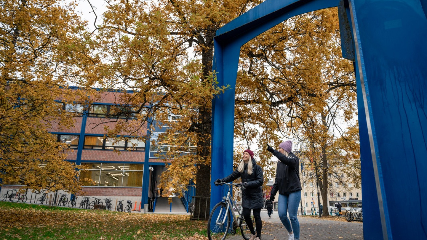 THE Ranking: Eight JYU subject fields included in the distinguished ...