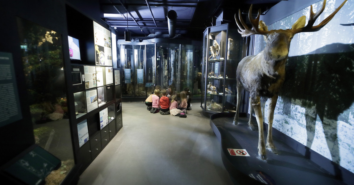 Environment as a heritage - permanent exhibition displays the diversity ...