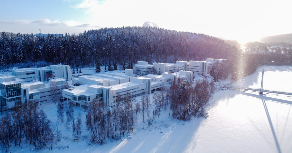 Staff Week: Responsible Research 12-16 February 2024 | University of ...