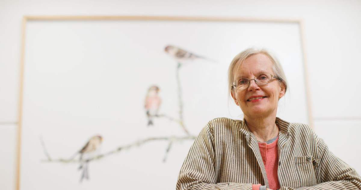 Examining art in the everyday: Project introduces a novel concept into ...