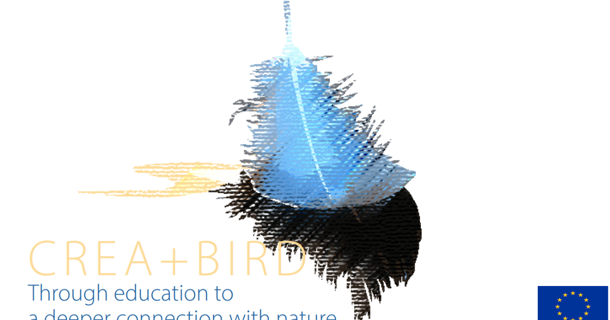 CREA+BIRD | University of Jyväskylä