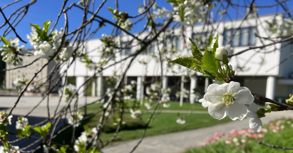 Flooran päivä 2025 – Jyväskylän yliopiston kampus avautuu kesään ...