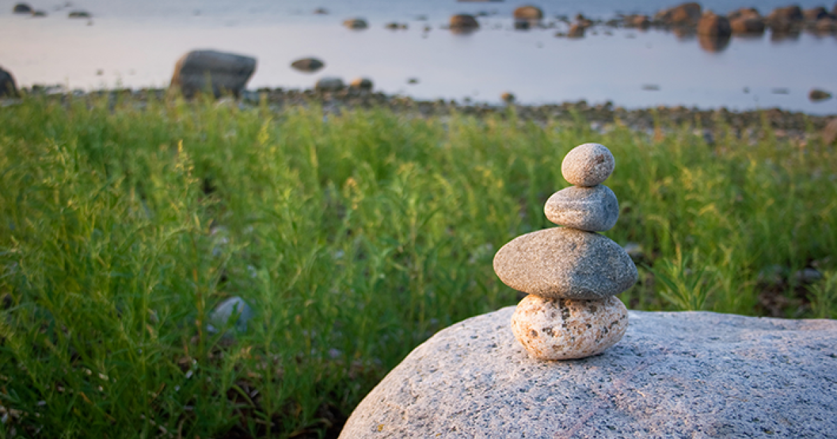 Stronger collaborations needed to solve interconnected environmental issues | University of ...