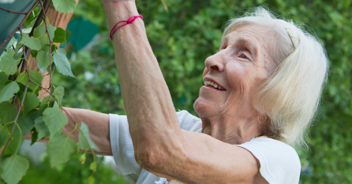 Suomalainen sisu näkyy ikääntyneiden harrastusaktiivisuudessa ...