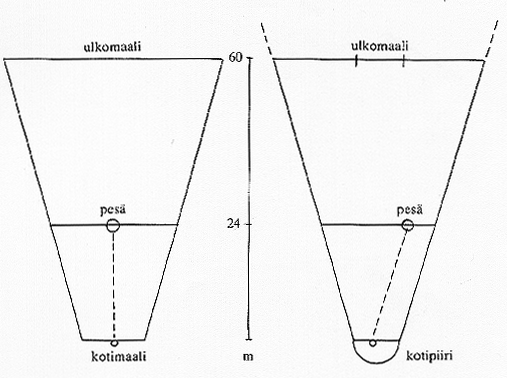 The Origin of the Sport